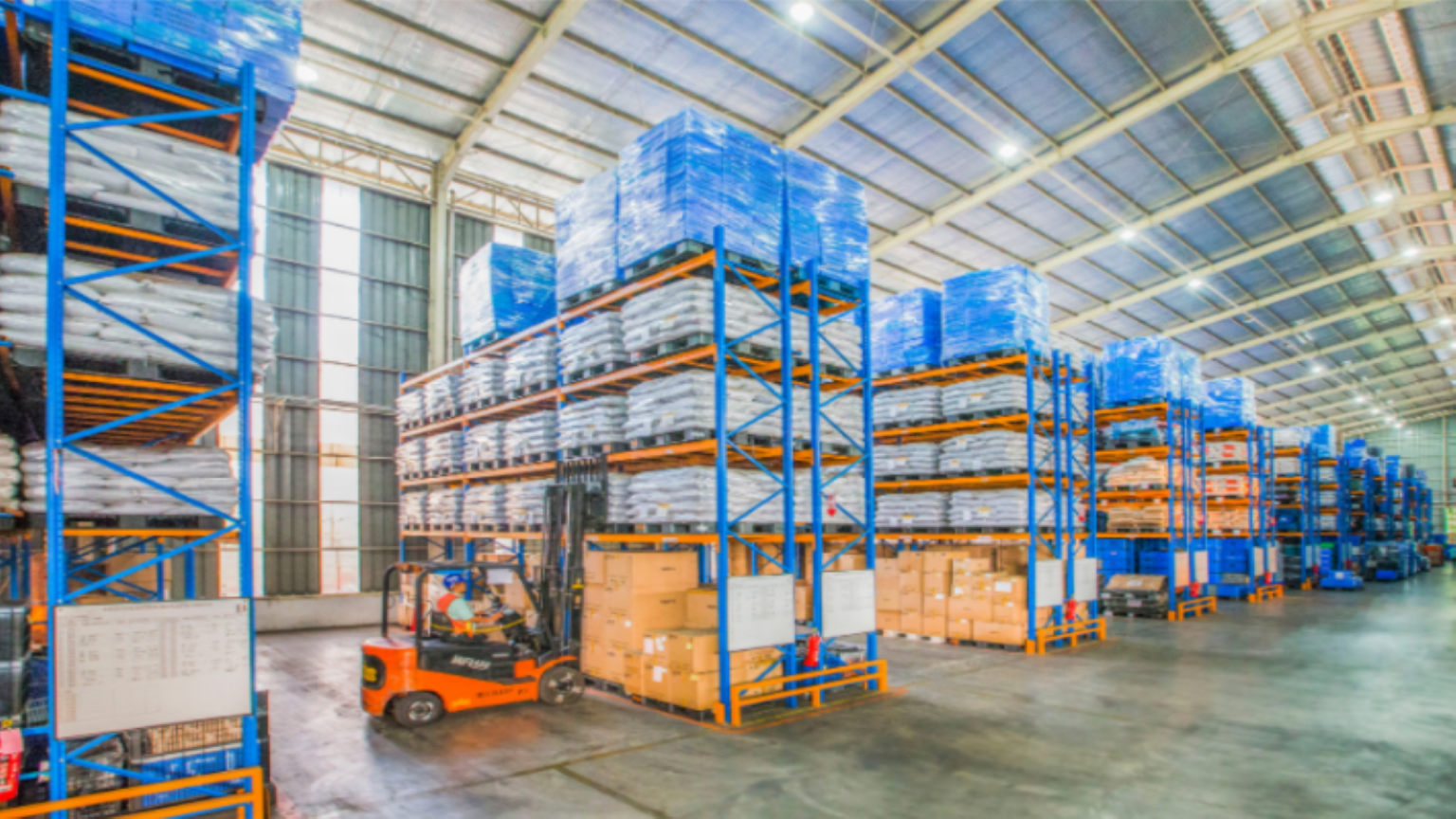Over-ordering Leading to Excessive Warehouse Volumes